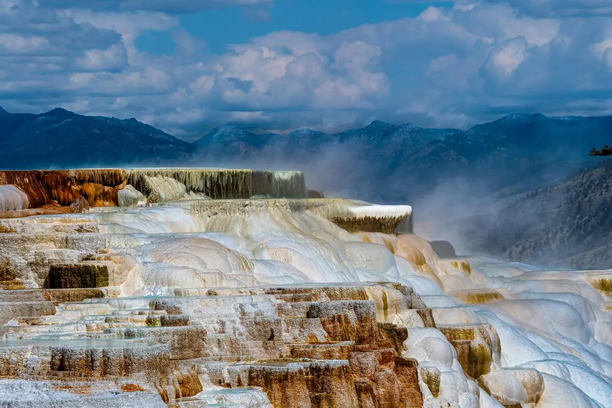 SSBJ （サステイナビリティ基準委員会）とは？概要や活動内容を紹介｜グローバル規制｜アスエネメディア｜ポータル・情報サイト