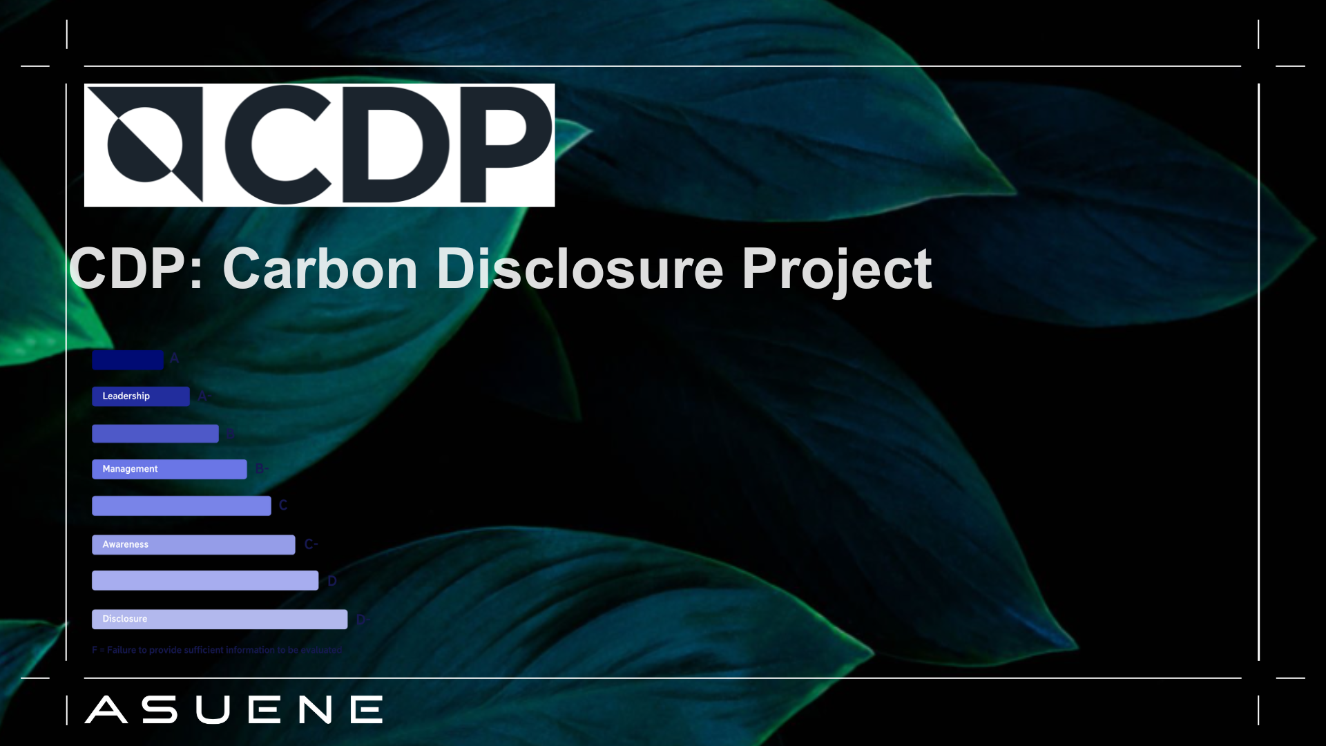 CDP: Pioneering Environmental Transparency for a Sustainable Future | Blog | ASUENE | The ...