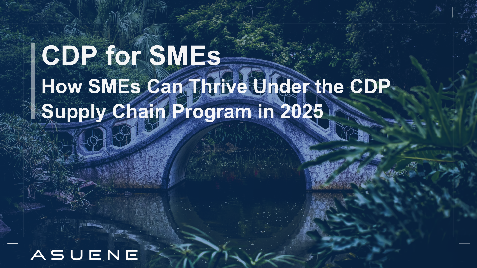 How SMEs Can Thrive Under the CDP Supply Chain Program in 2025 | Blog ...