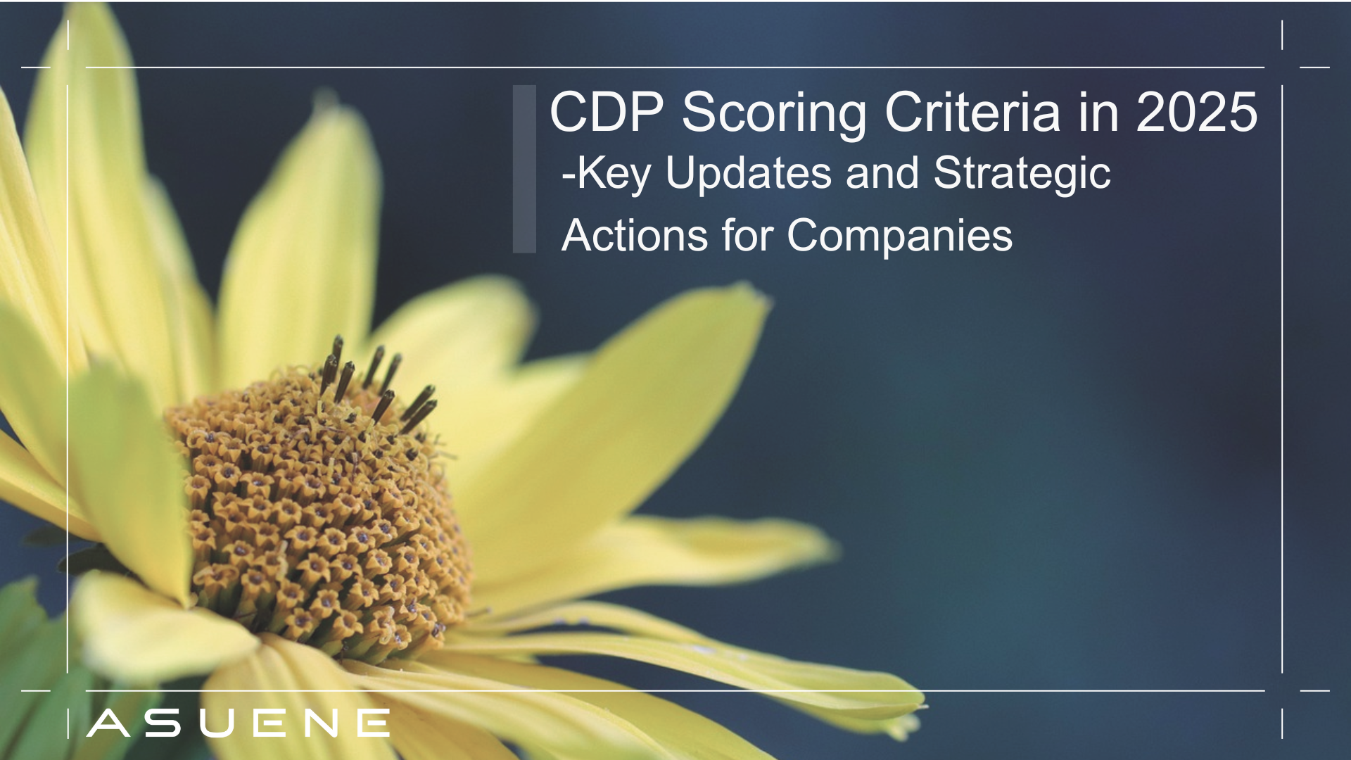 CDP Scoring Criteria in 2025: Key Updates and Strategic Actions for ...