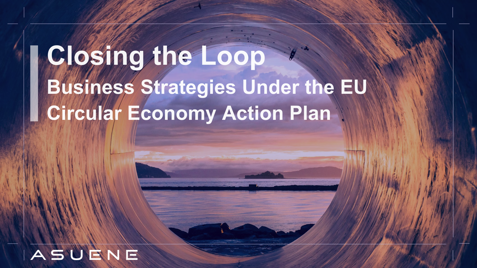 Closing the Loop: Business Strategies Under the EU Circular Economy ...
