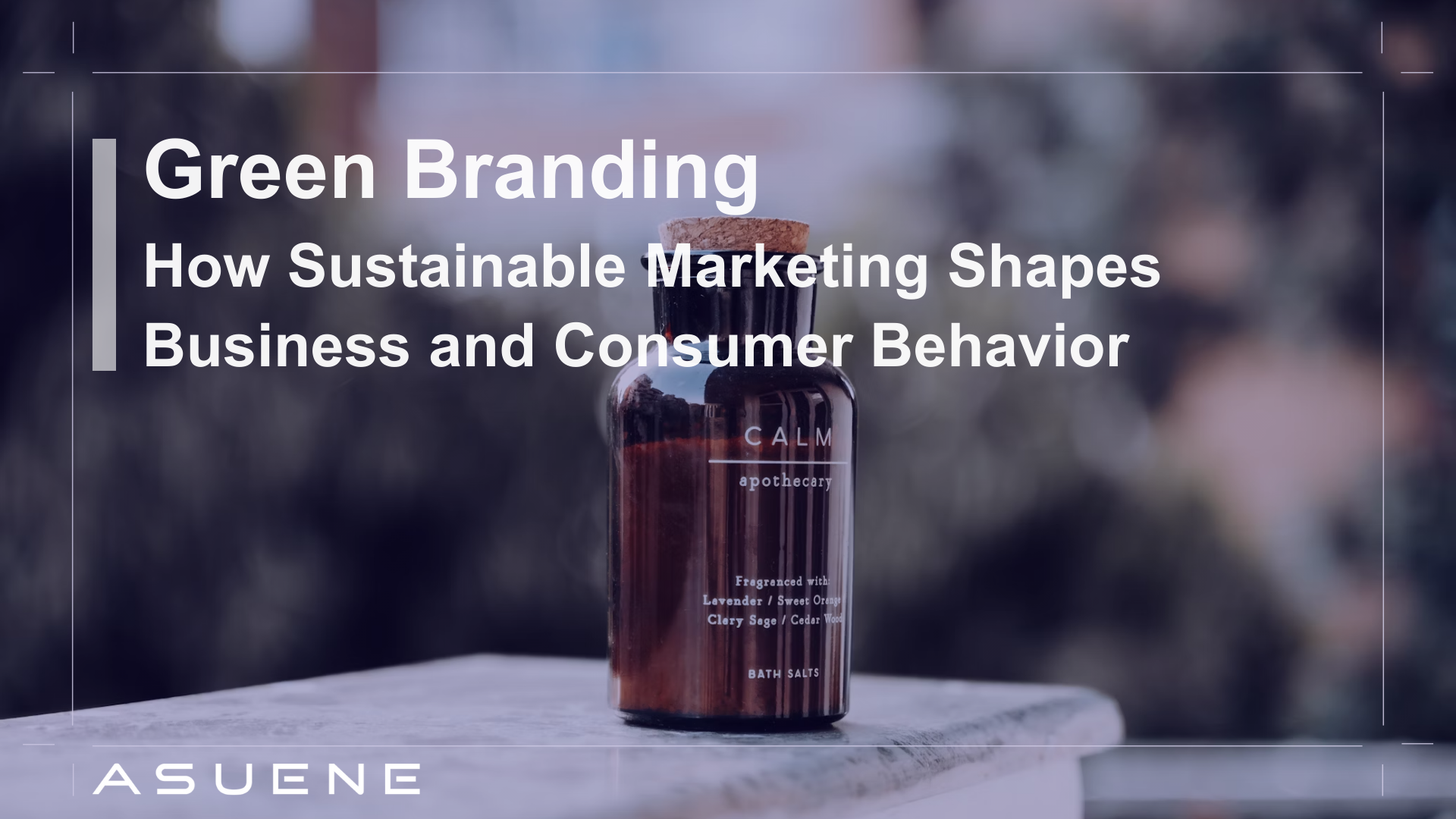 Green Branding: How Sustainable Marketing Shapes Business and Consumer ...