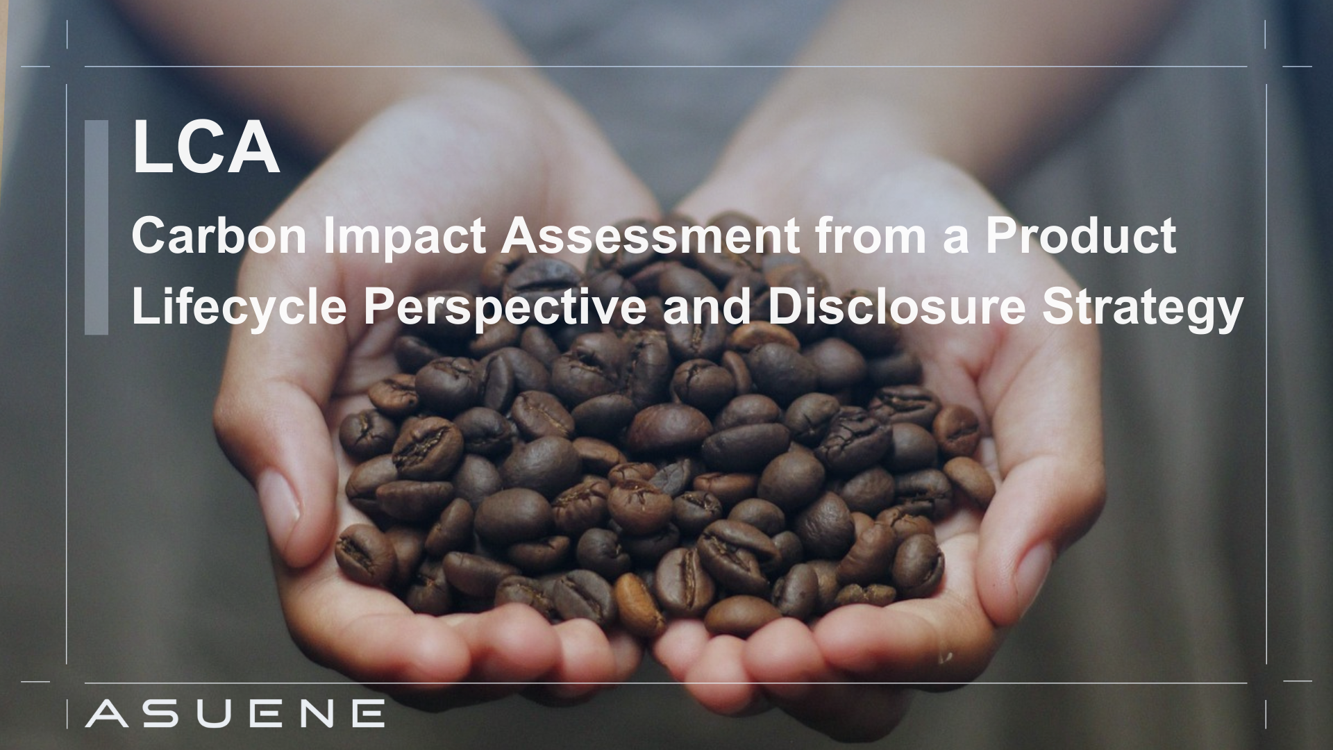 Carbon Impact Assessment from a Product Lifecycle Perspective and ...