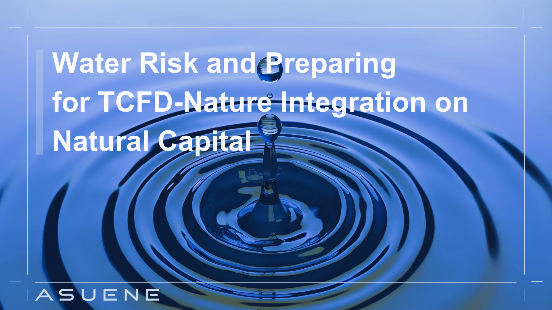 Water Risk and Preparing for TCFD-Nature Integration on Natural Capital ...