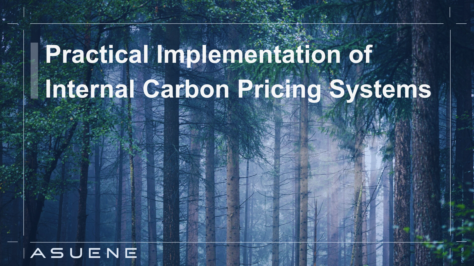 Rising Carbon Prices and the Practical Implementation of Internal ...