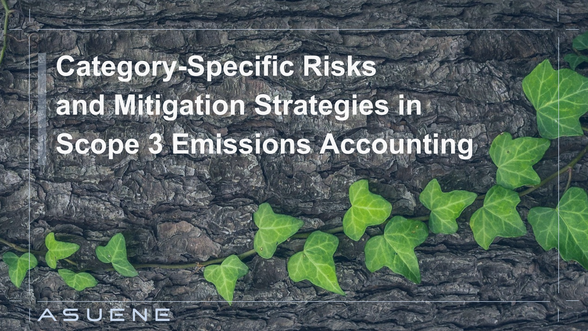 Category-Specific Risks and Mitigation Strategies in Scope 3 Emissions ...