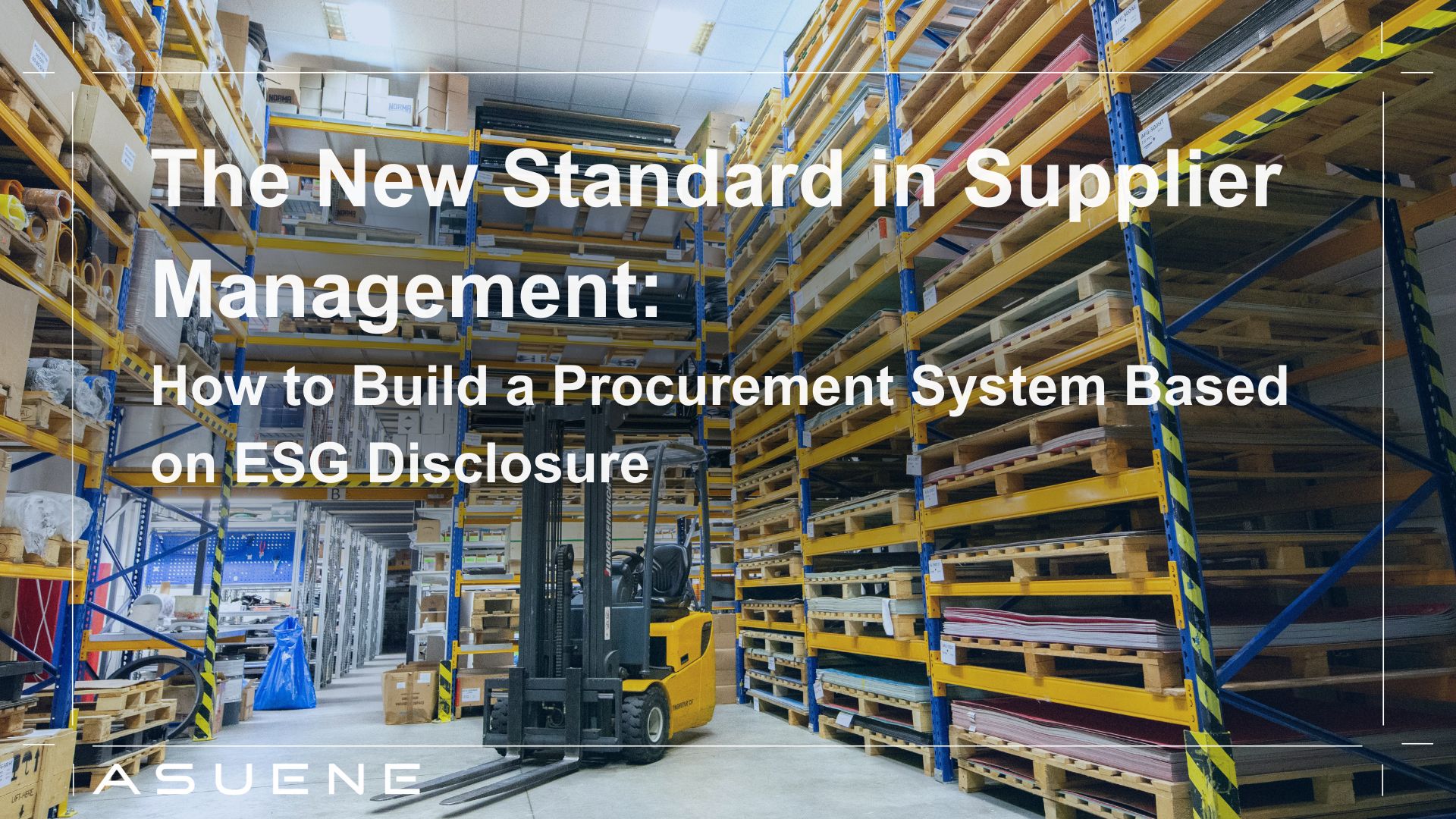 The New Standard in Supplier Management: How to Build a Procurement ...