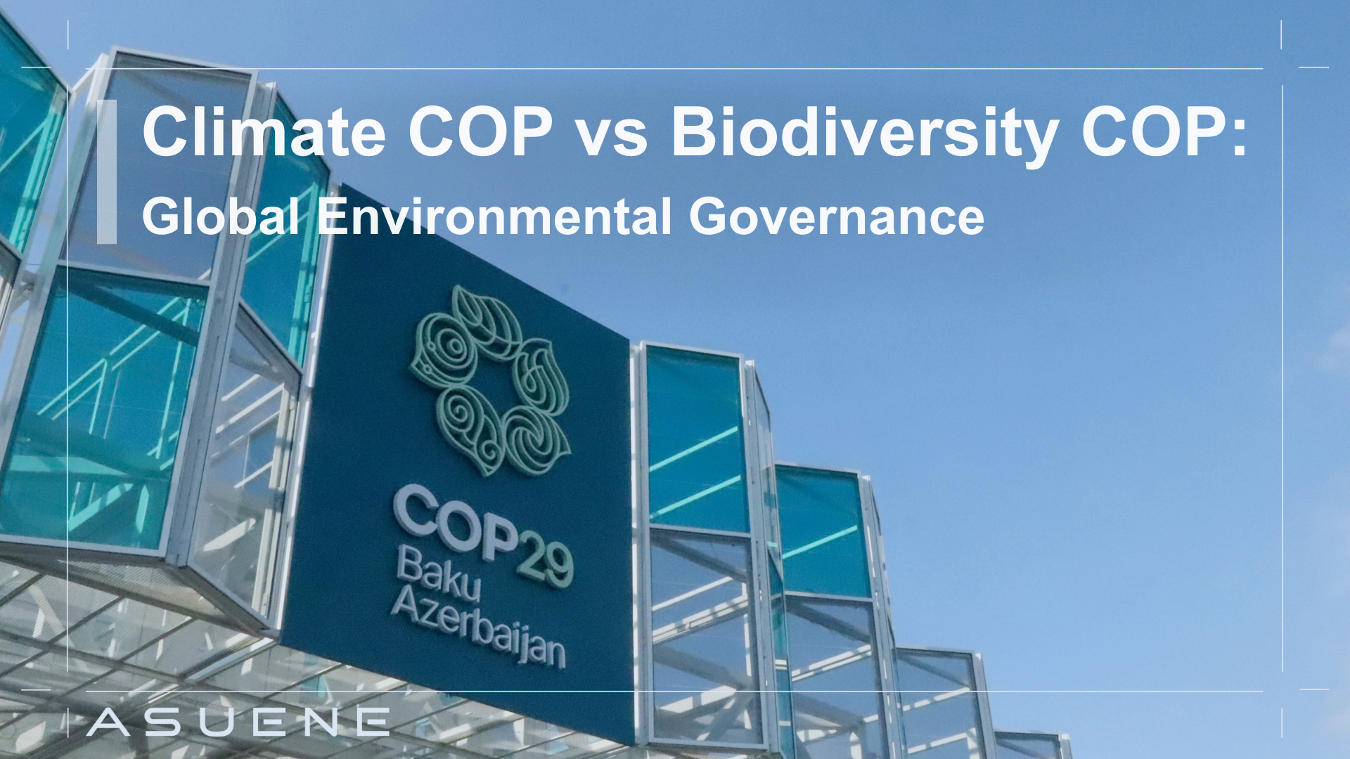 Climate COP vs Biodiversity COP: Global Environmental Governance | Blog ...