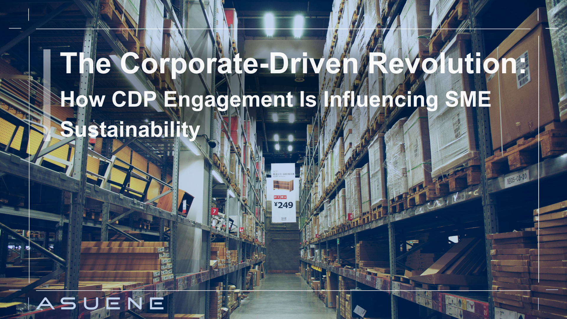 The Corporate-Driven Revolution: How CDP Engagement Is Influencing SME ...