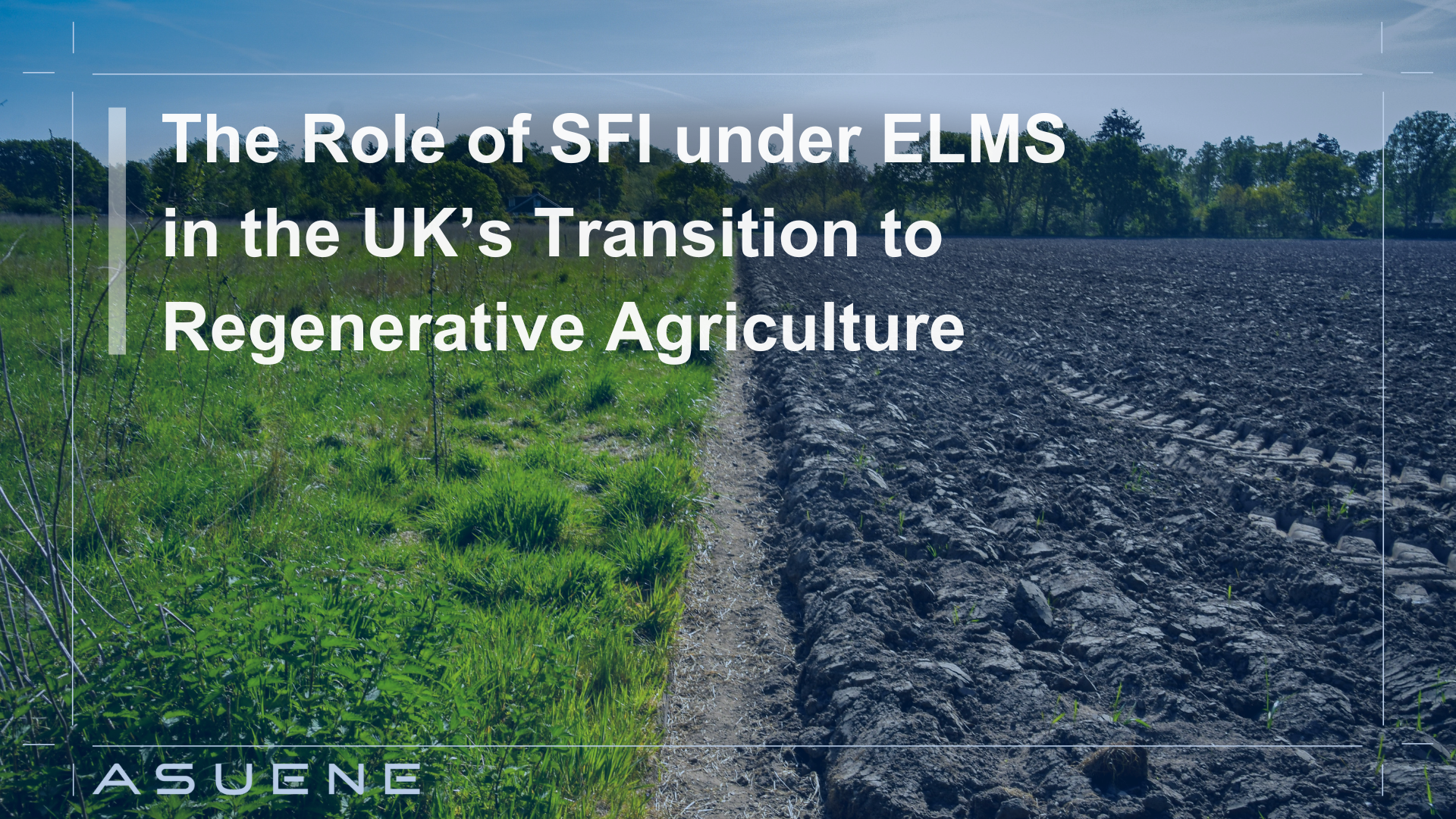 The Role of SFI under ELMS in the UK’s Transition to Regenerative ...