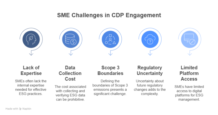The Corporate-Driven Revolution: How CDP Engagement Is Influencing SME ...