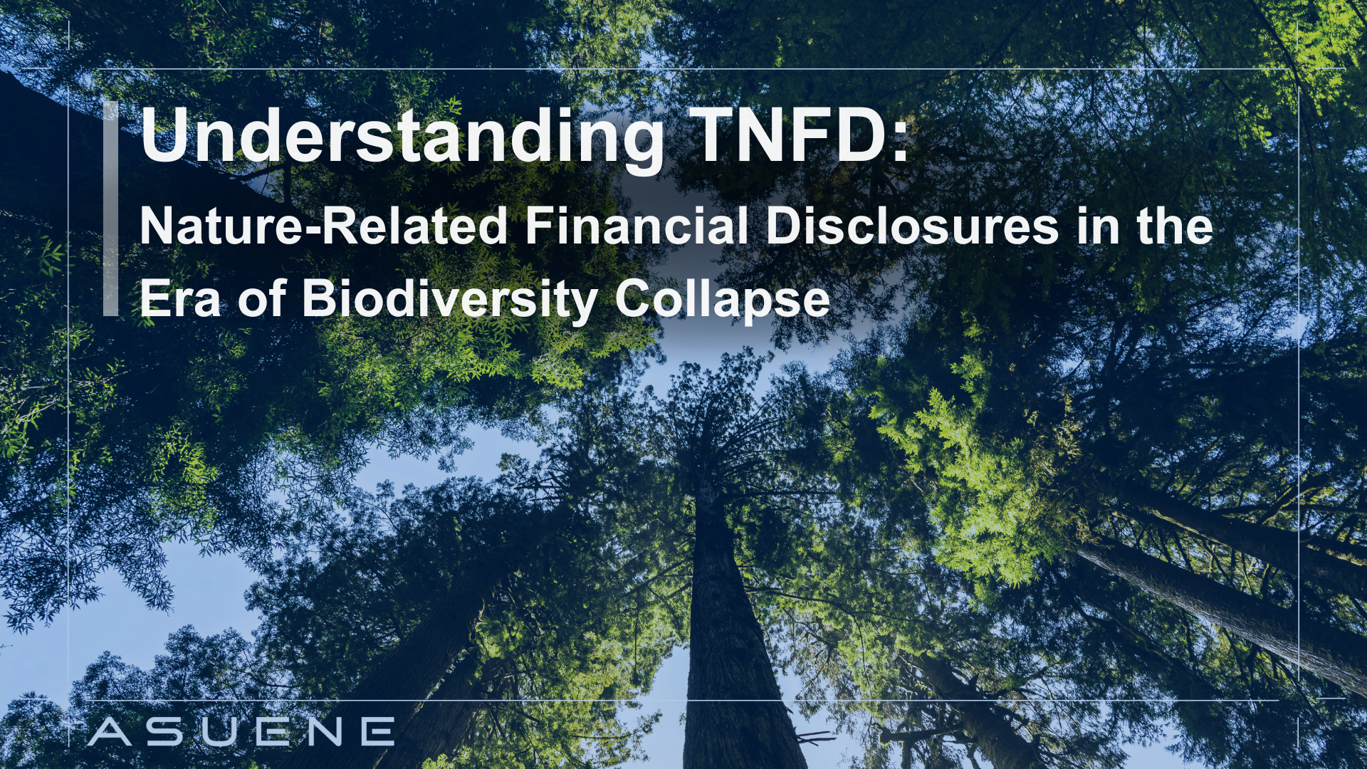 Understanding TNFD: Nature-Related Financial Disclosures in the Era of ...