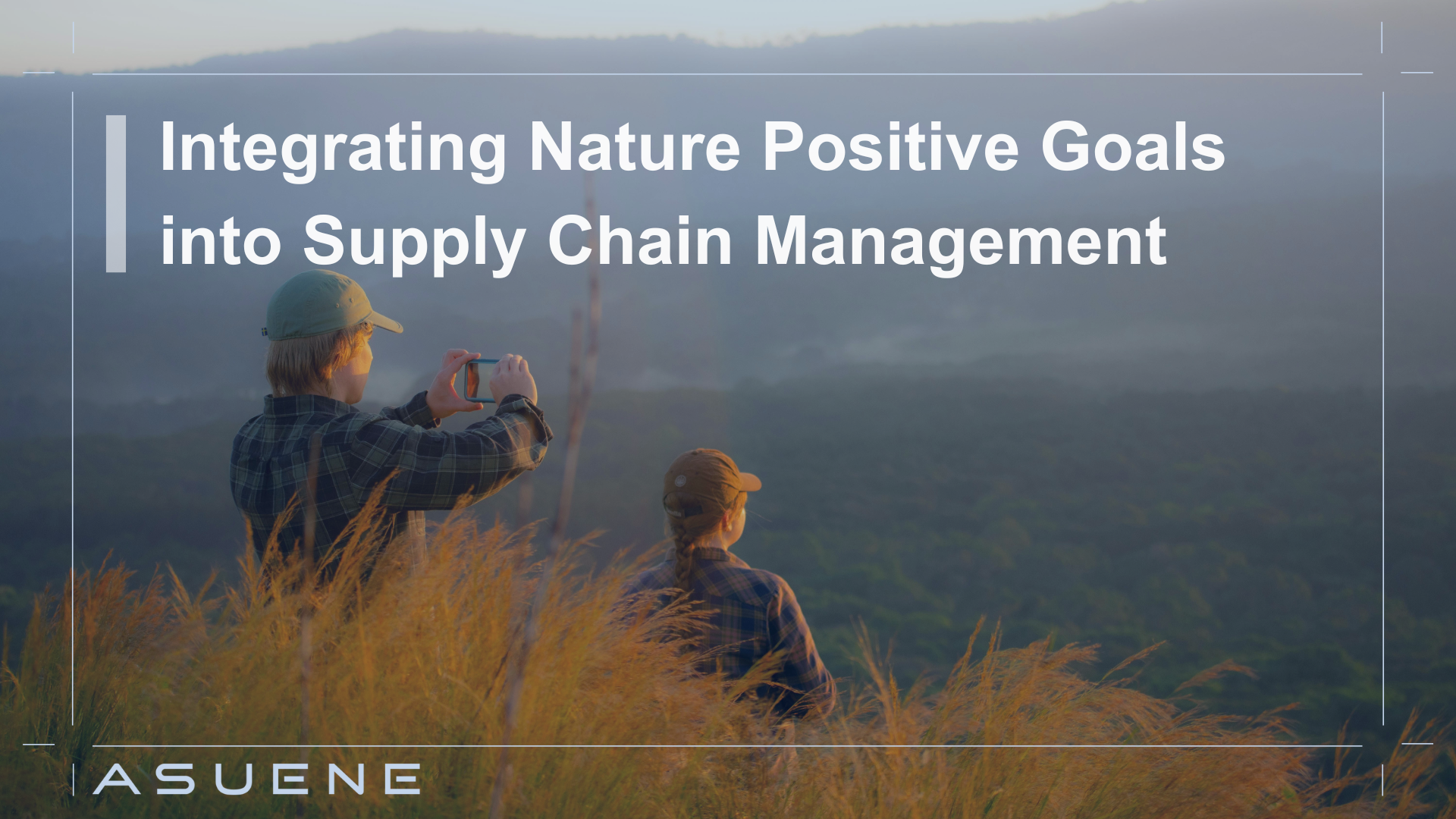 Integrating Nature Positive Goals into Supply Chain Management | Blog ...