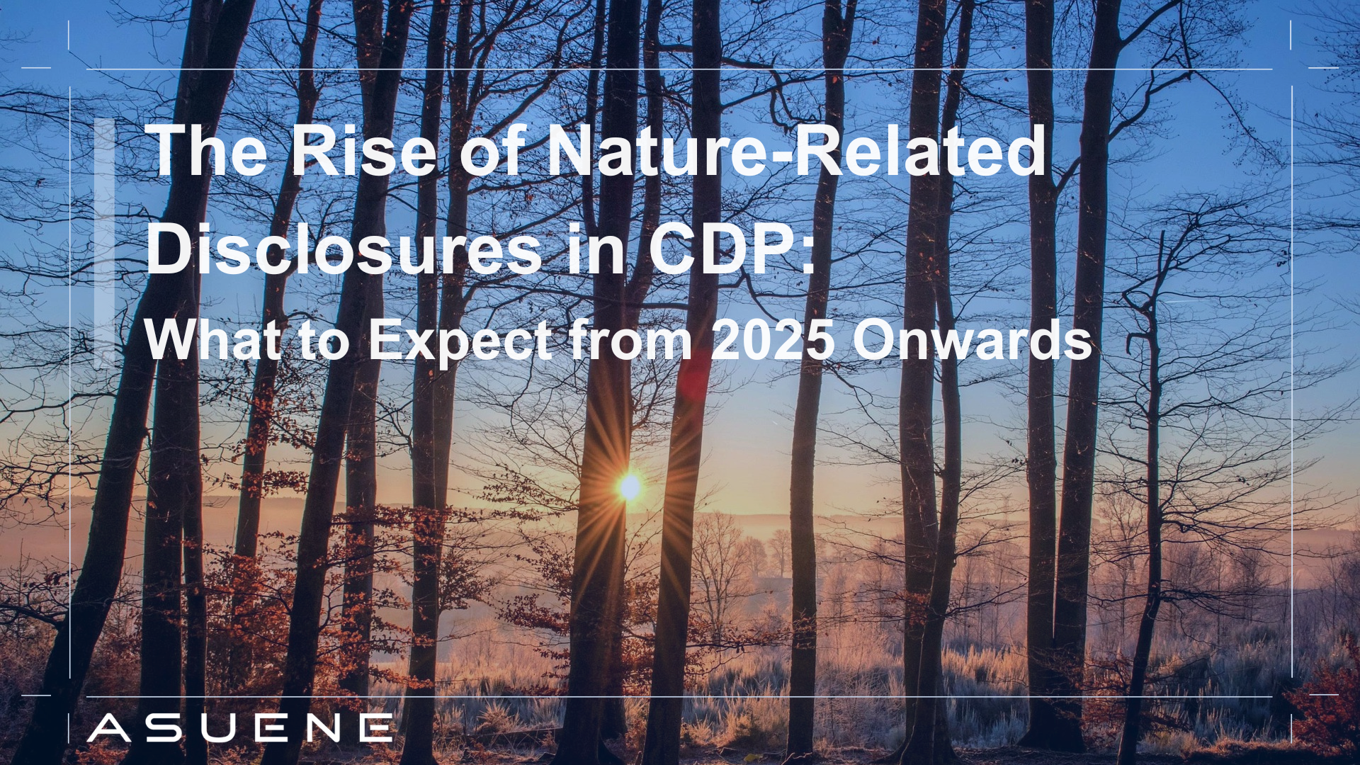 The Rise of Nature-Related Disclosures in CDP: What to Expect from 2025 ...