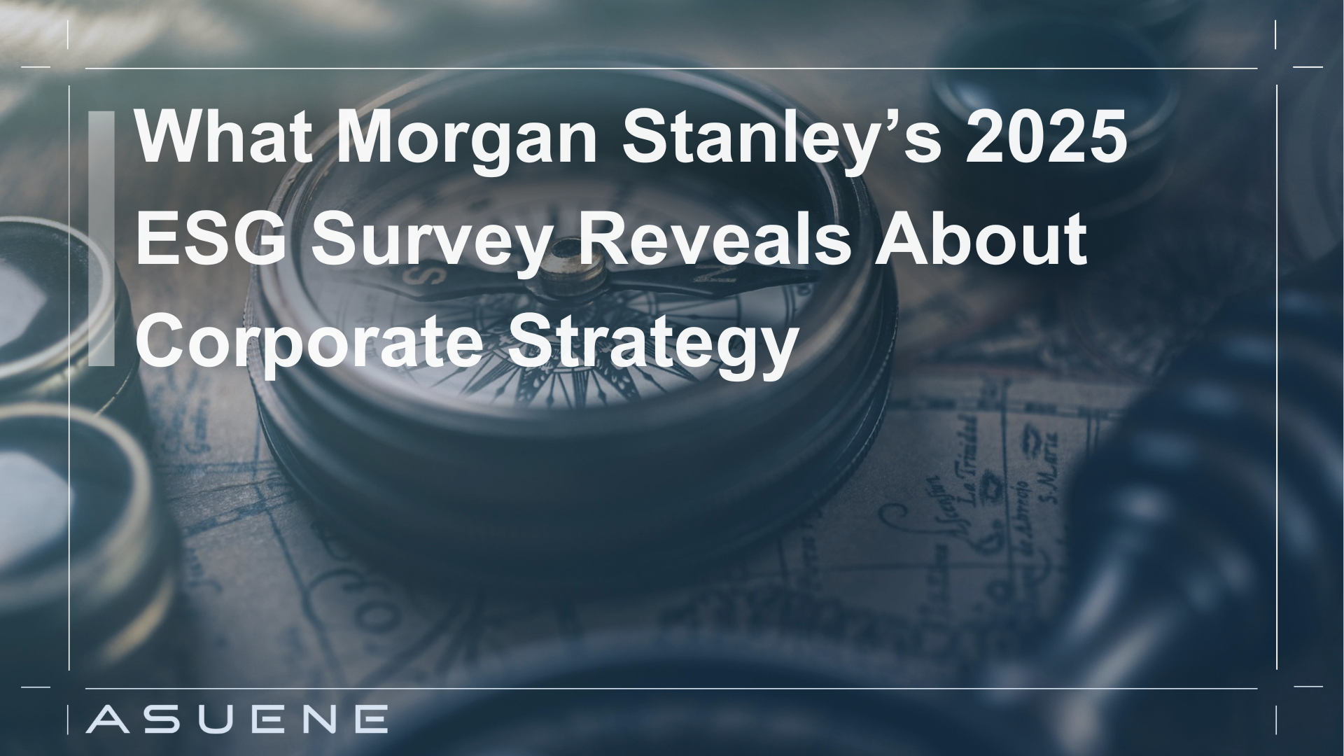 What Morgan Stanley’s 2025 ESG Survey Reveals About Corporate Strategy | Blog | ASUENE | The ...