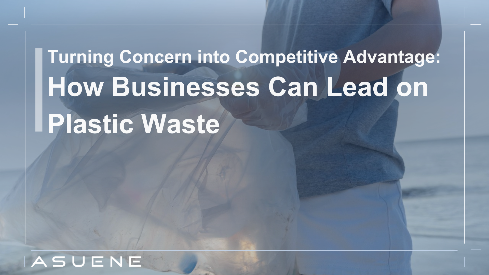 Turning Concern into Competitive Advantage: How Businesses Can Lead on ...