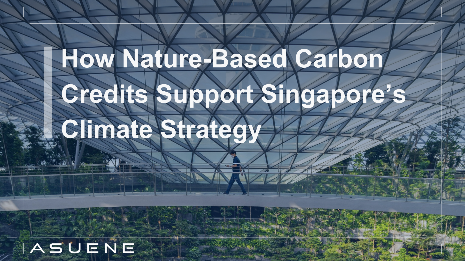 How Nature-Based Carbon Credits Support Singapore’s Climate Strategy ...
