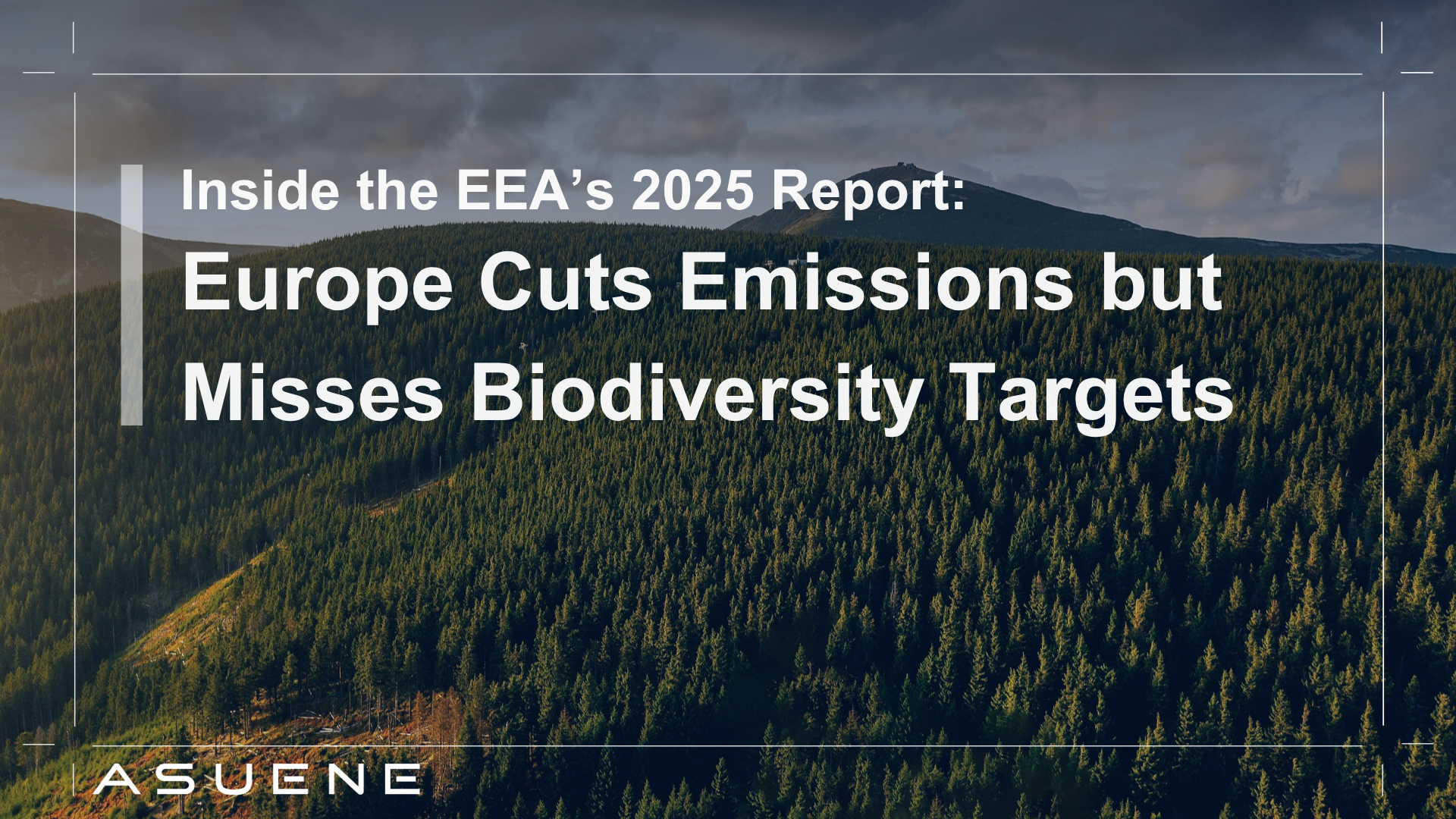 Inside the EEA’s 2025 Report: Europe Cuts Emissions but Misses ...